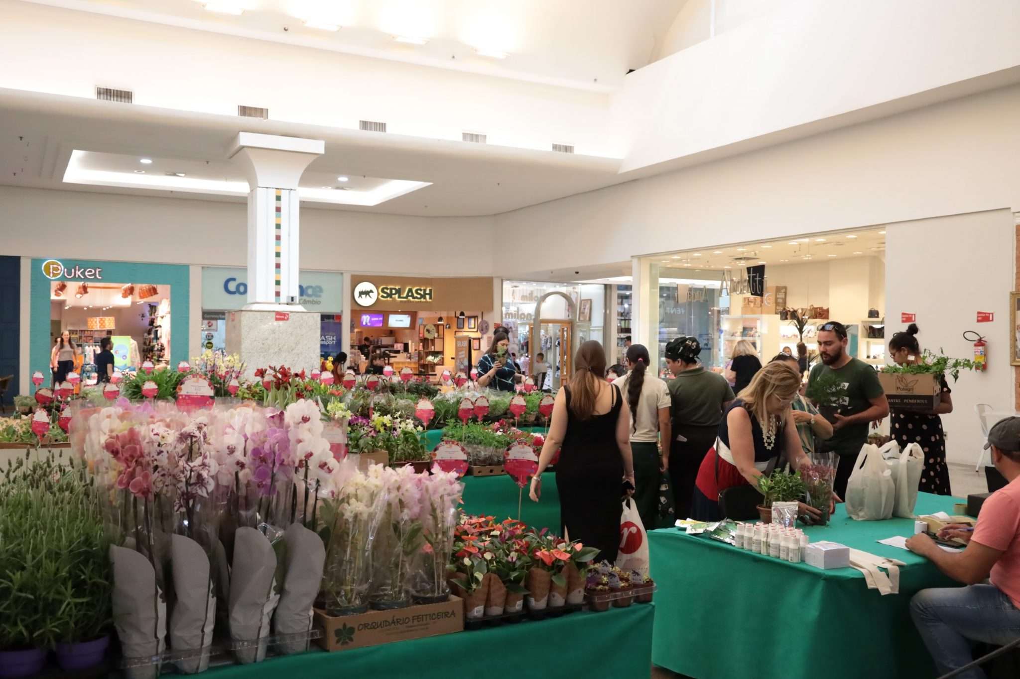 Feira das flores e plantas de Holambra está de volta em Rio Preto ...